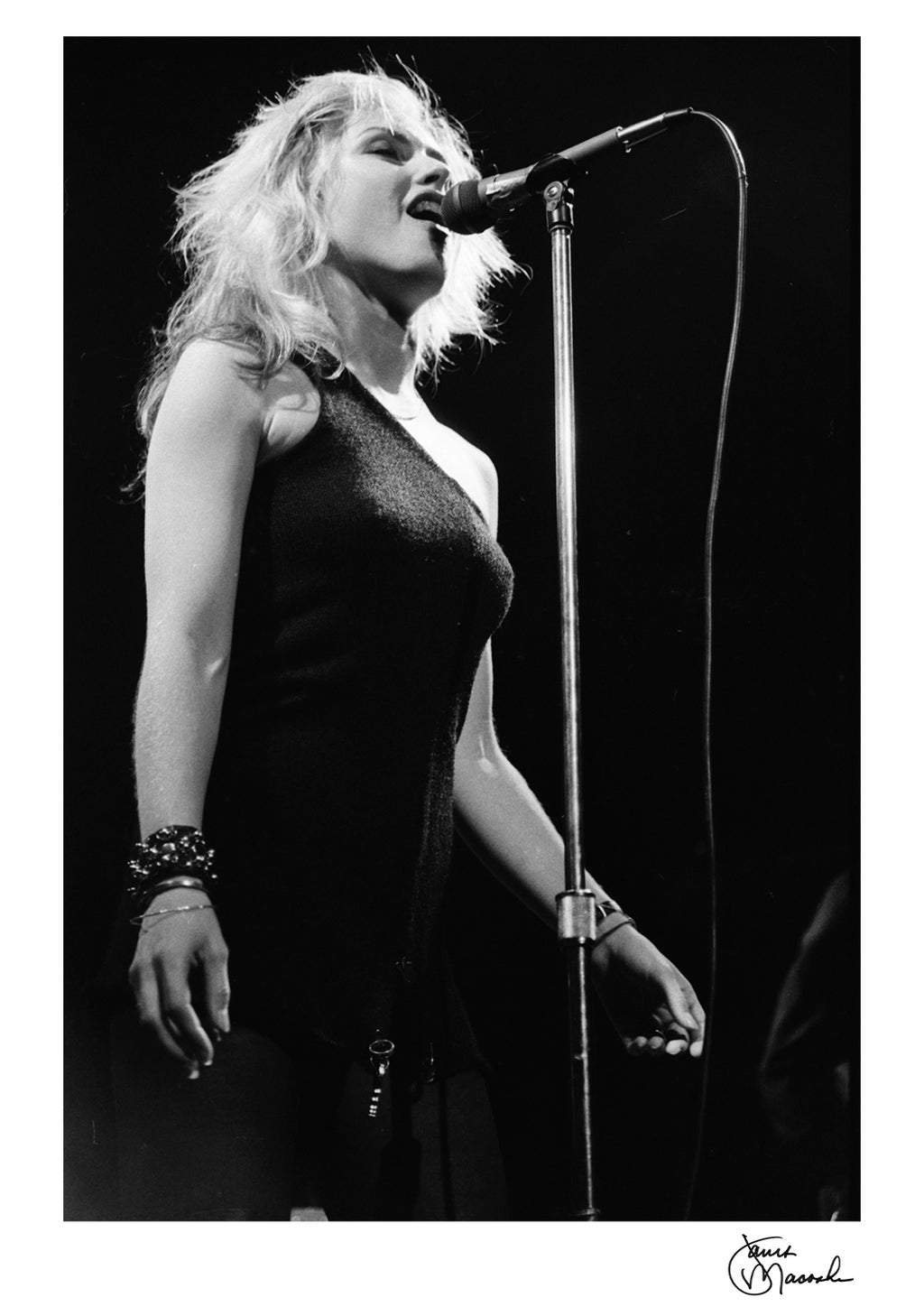 Steven Tyler at Richfield Coliseum, 1983 — Open Edition Print - Janet ...