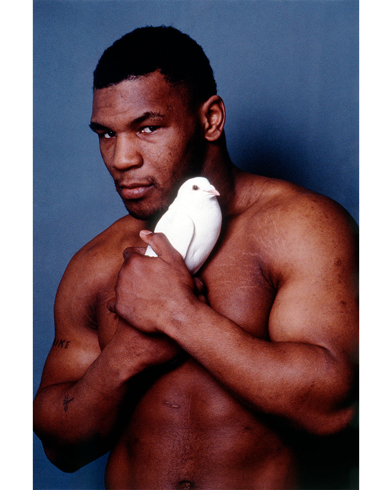Mike Tyson with his tumbler pigeon, 1985 — Limited Edition Print ...