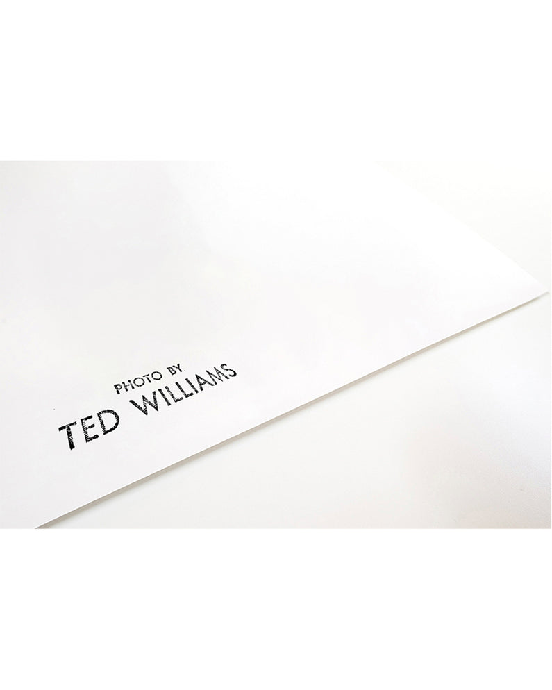 Miles Davis playing the trumpet — Limited Edition Print - Ted Williams ...